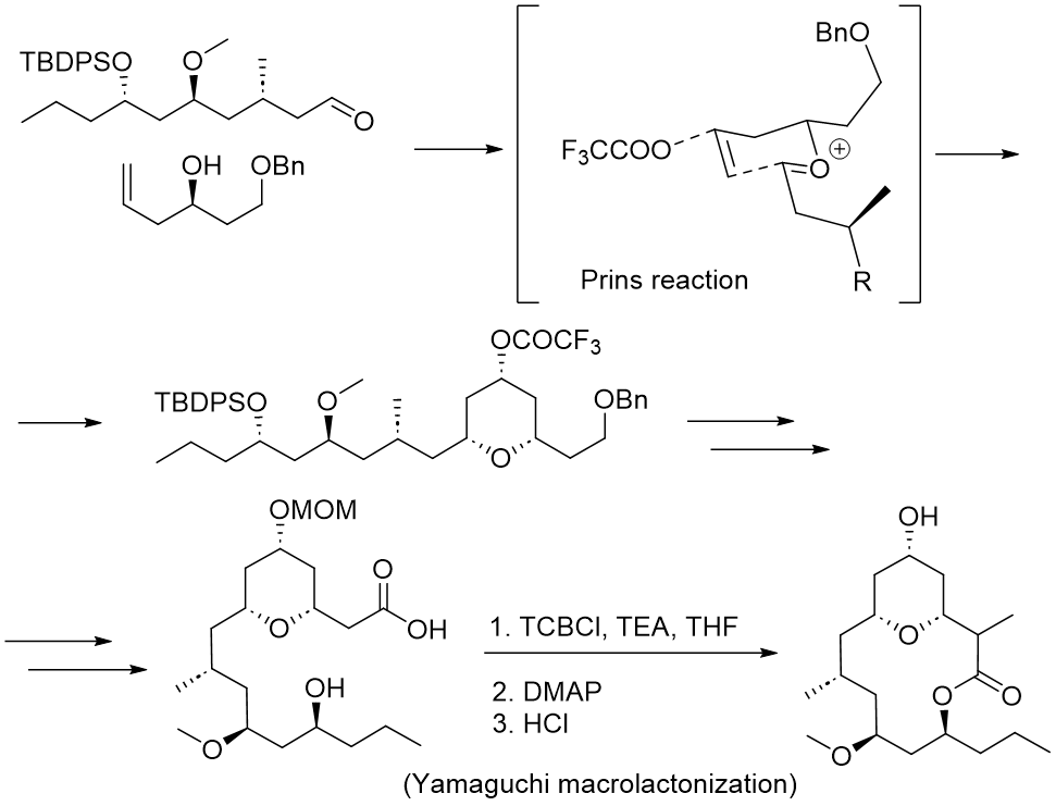 Yamaguchi reagent – Reagent of the month June - SigutLabs